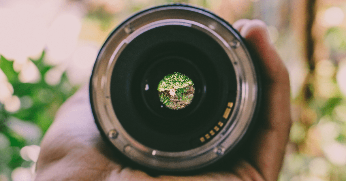 Choose Your Perspective - CJ McClanahan